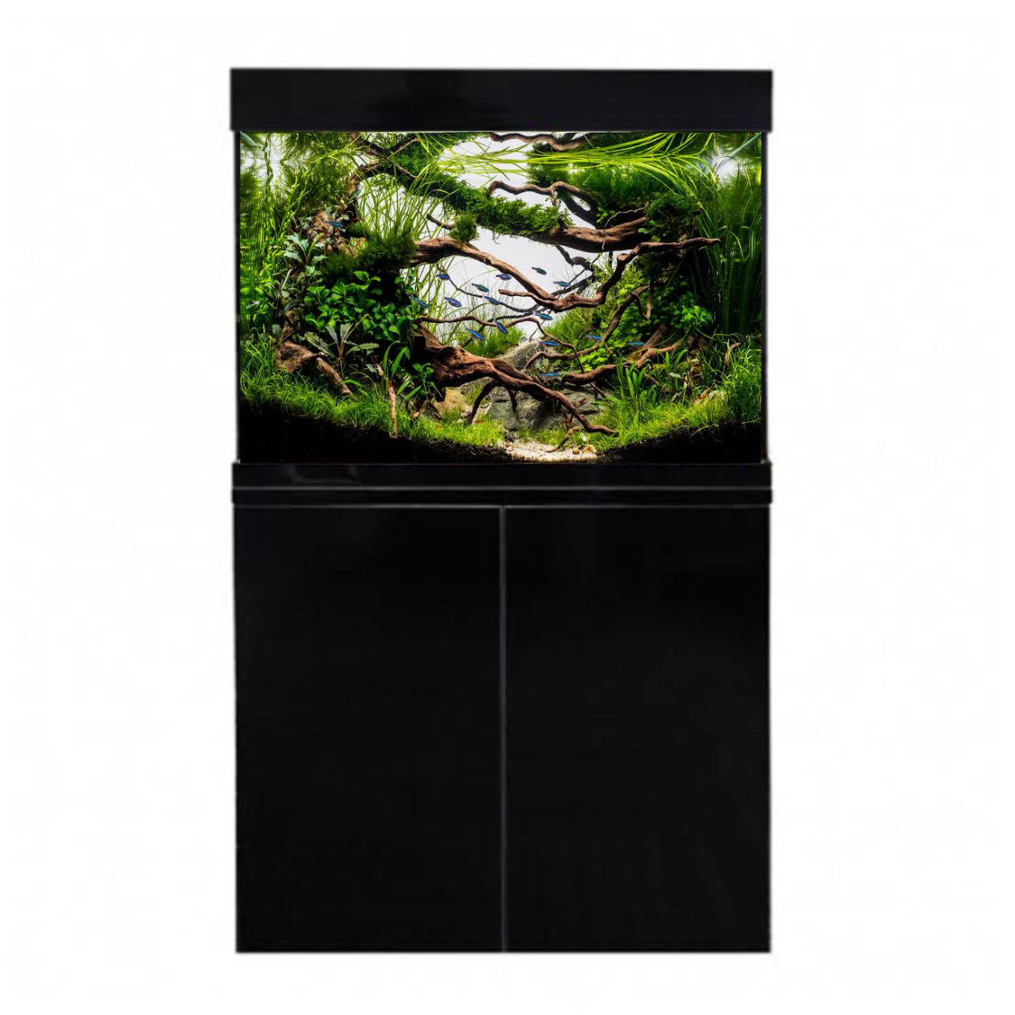 Aqua One Tanks – The Aquarium Factory