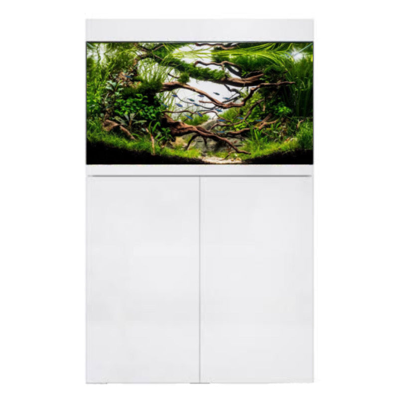 Aqua One Tanks – The Aquarium Factory