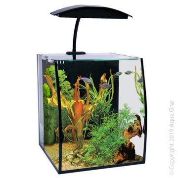 Aqua One Tanks – The Aquarium Factory