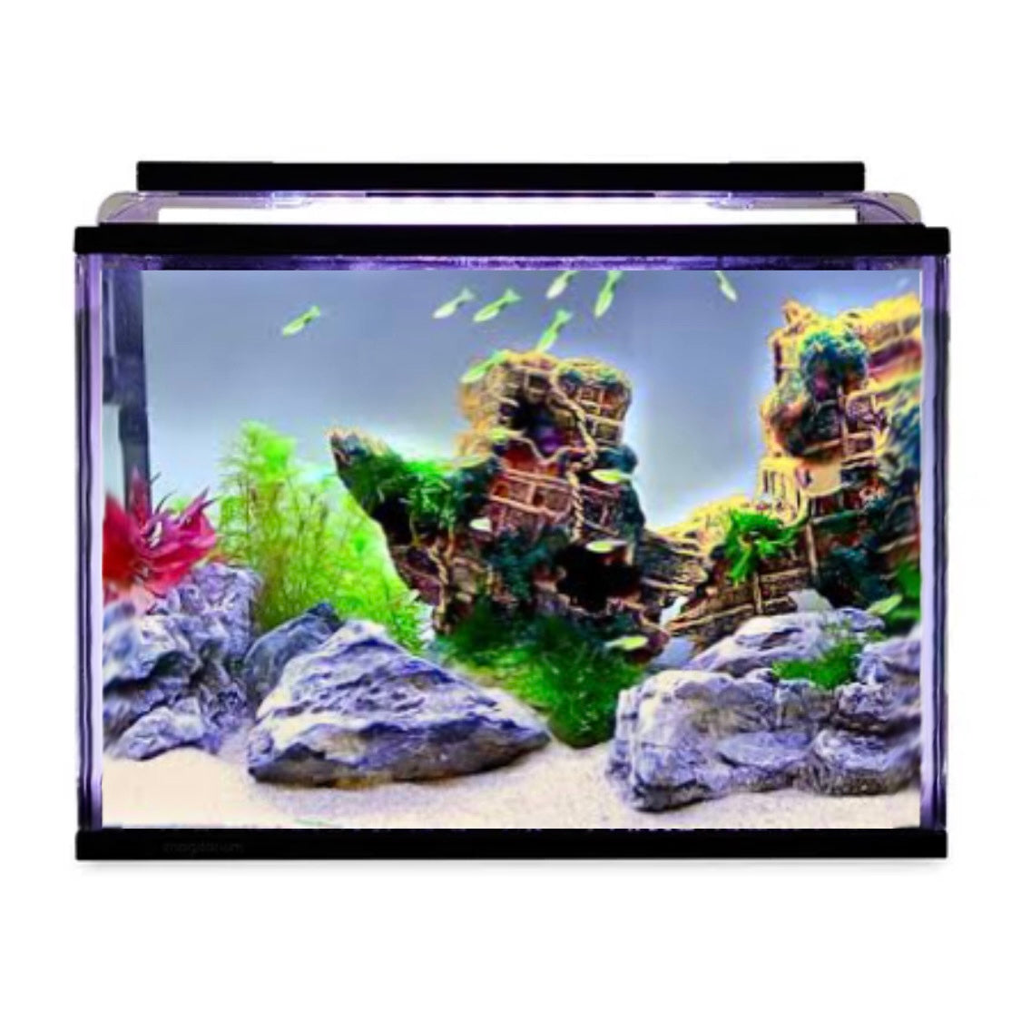 Aqua One Splish Splash Large – The Aquarium Factory