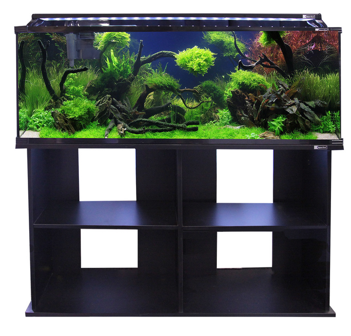 Aqua One Tanks – The Aquarium Factory