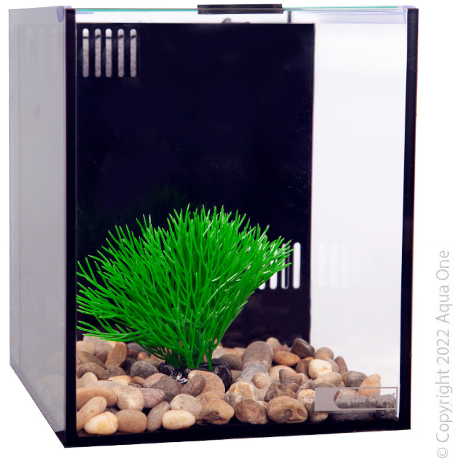 Betta Aquariums – The Aquarium Factory