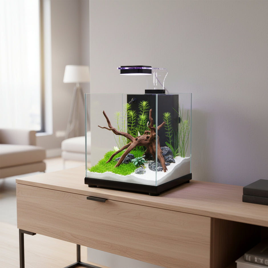 Aqua One Tanks – The Aquarium Factory
